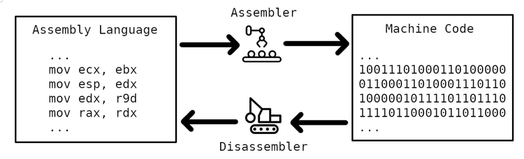 Disassemblers & Decompilers